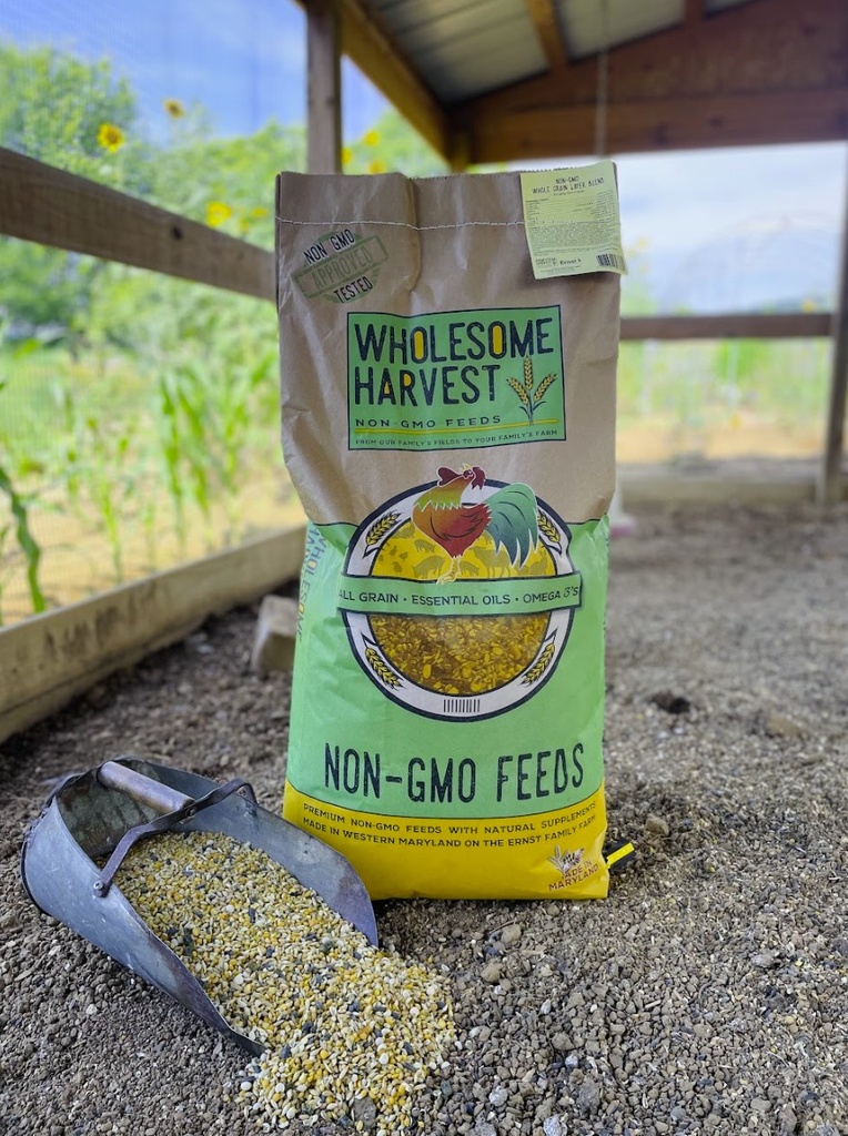 Wholesome Harvest Plain Ol' Scratch Grain 40lbs | Ernst Grain B2B